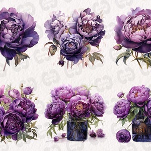Watercolor Purple Peonies Clipart, Peony Flower Graphics in PNG and SVG ...
