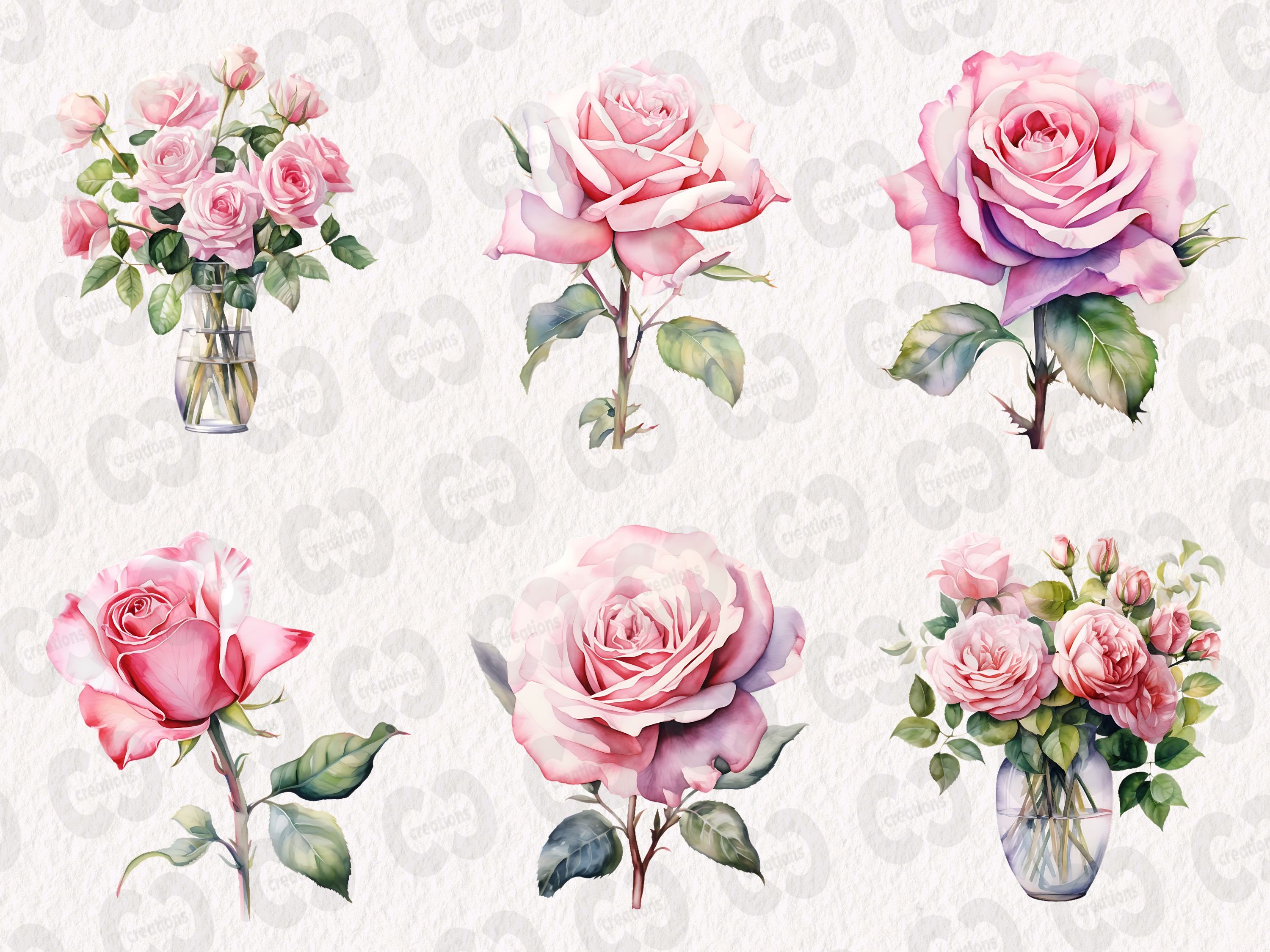 Watercolor Pink Roses Clipart Bundle Cute Rose Flower - Etsy