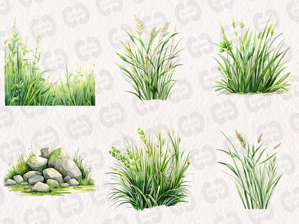 Watercolor Grass Clipart Bundle, Botanical Grass Borders, Tufts of ...