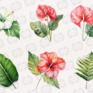 Watercolor Tropical Leaves Clipart, Jungle Graphics in PNG and SVG ...