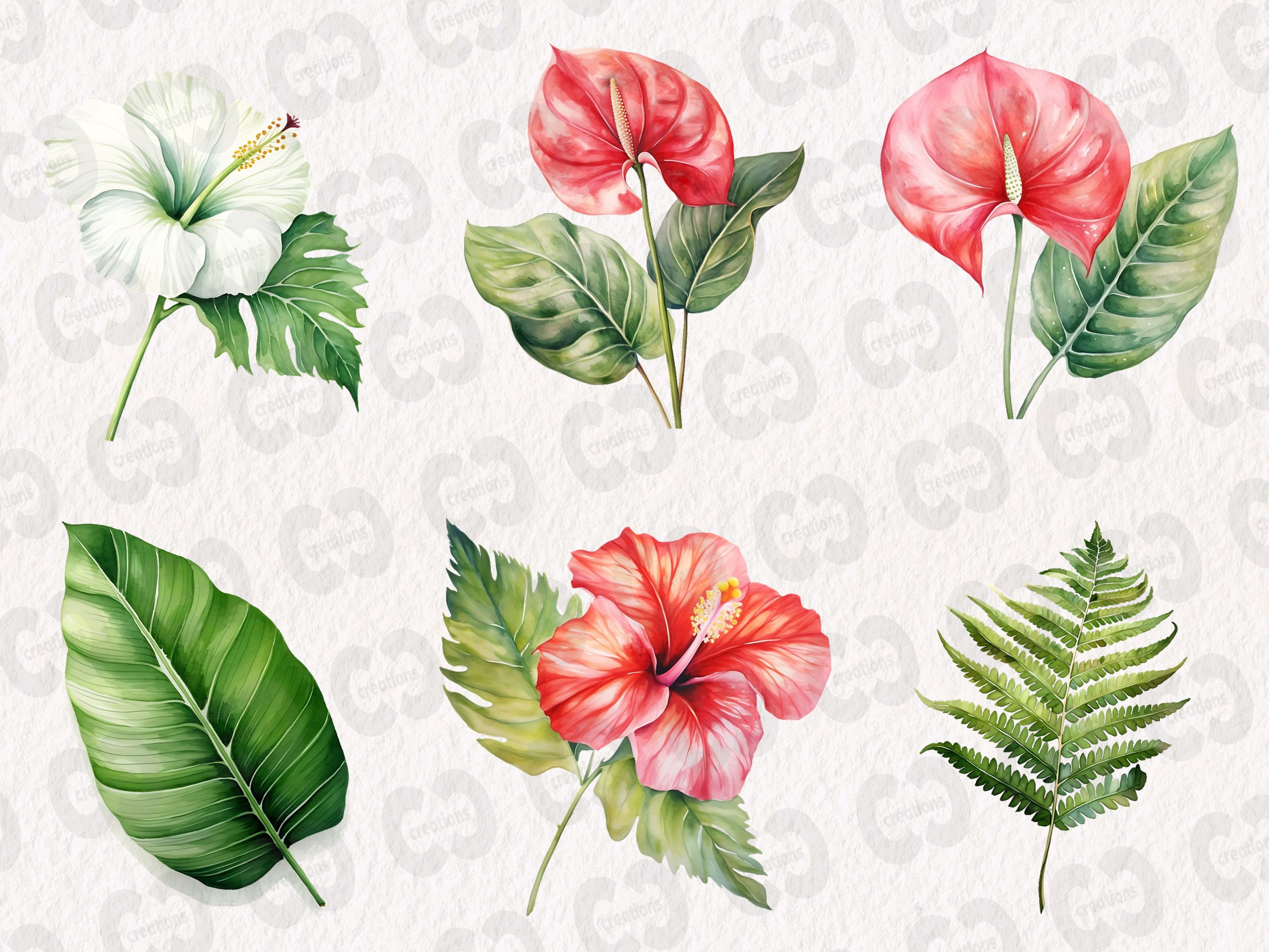 Watercolor Tropical Leaves Clipart, Jungle Graphics in PNG and SVG ...