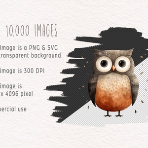 WHOLE SHOP Clipart Bundle, Entire Unlimited Lifetime Shop Access, Mega ...