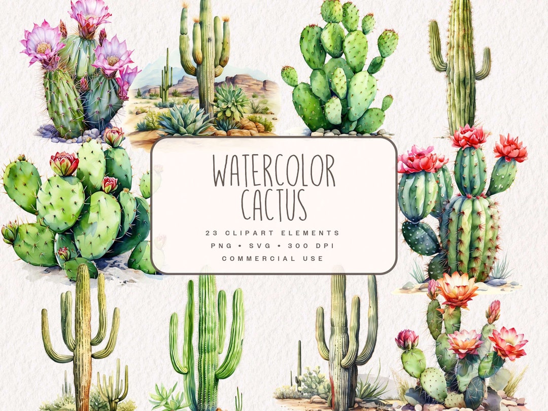Watercolor Desert Cactus Clipart, Cacti Graphics in PNG and SVG Format ...