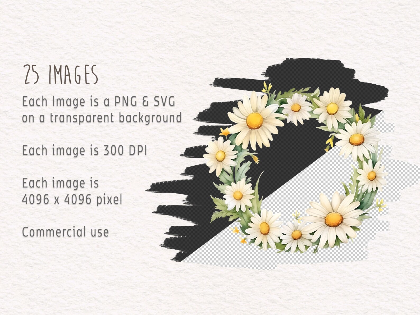 Watercolor Daisy Flower Clipart Bundle, Cute Daises Graphics, Digital ...