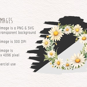 Watercolor Daisy Flower Clipart Bundle, Cute Daises Graphics, Digital ...