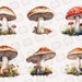 Watercolor Mushrooms Clipart Bundle, Beatiful Forest Graphics, Digital ...