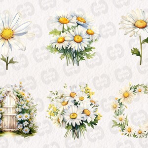 Watercolor Daisy Flower Clipart Bundle, Cute Daises Graphics, Digital ...