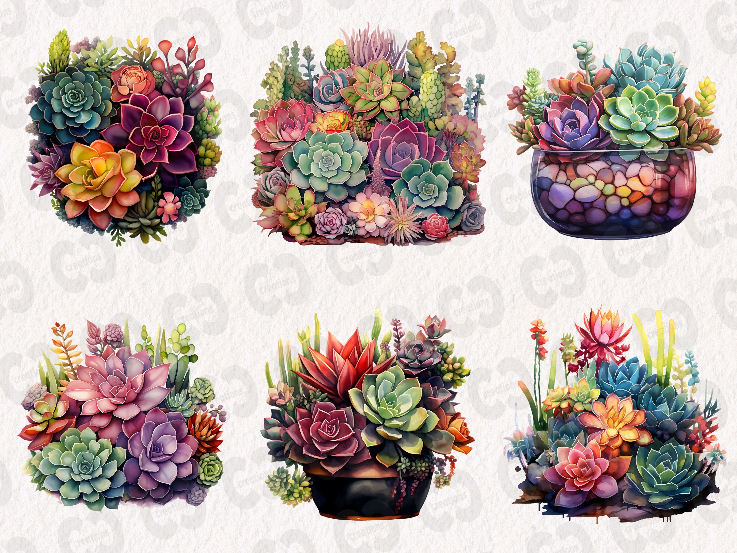 Watercolor Succulents Clipart Bundle, Desert Graphics in PNG and SVG ...