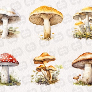 Watercolor Mushrooms Clipart Bundle, Beatiful Forest Graphics, Digital ...