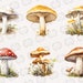 Watercolor Mushrooms Clipart Bundle, Beatiful Forest Graphics, Digital ...