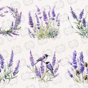 Watercolor Lavender Clipart Bundle, Purple Garden Graphics, Floral ...