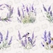Watercolor Lavender Clipart Bundle, Purple Garden Graphics, Floral ...