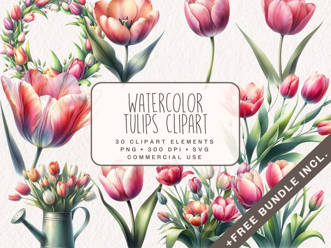 Watercolor Tulips Clipart Bundle, Flower Graphics in PNG and SVG Format ...