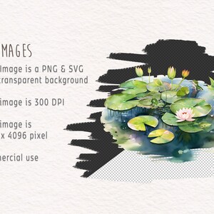 Watercolor Lily Ponds Clipart, Green Frog Graphics in PNG and SVG, Cute ...