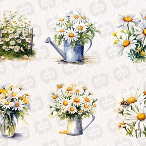Watercolor Daisy Flower Clipart Bundle, Cute Daises Graphics, Digital ...