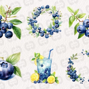 Watercolor Blueberry Clipart Bundle, Cute Food Graphics in PNG and SVG ...