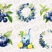 Watercolor Blueberry Clipart Bundle, Cute Food Graphics in PNG and SVG ...