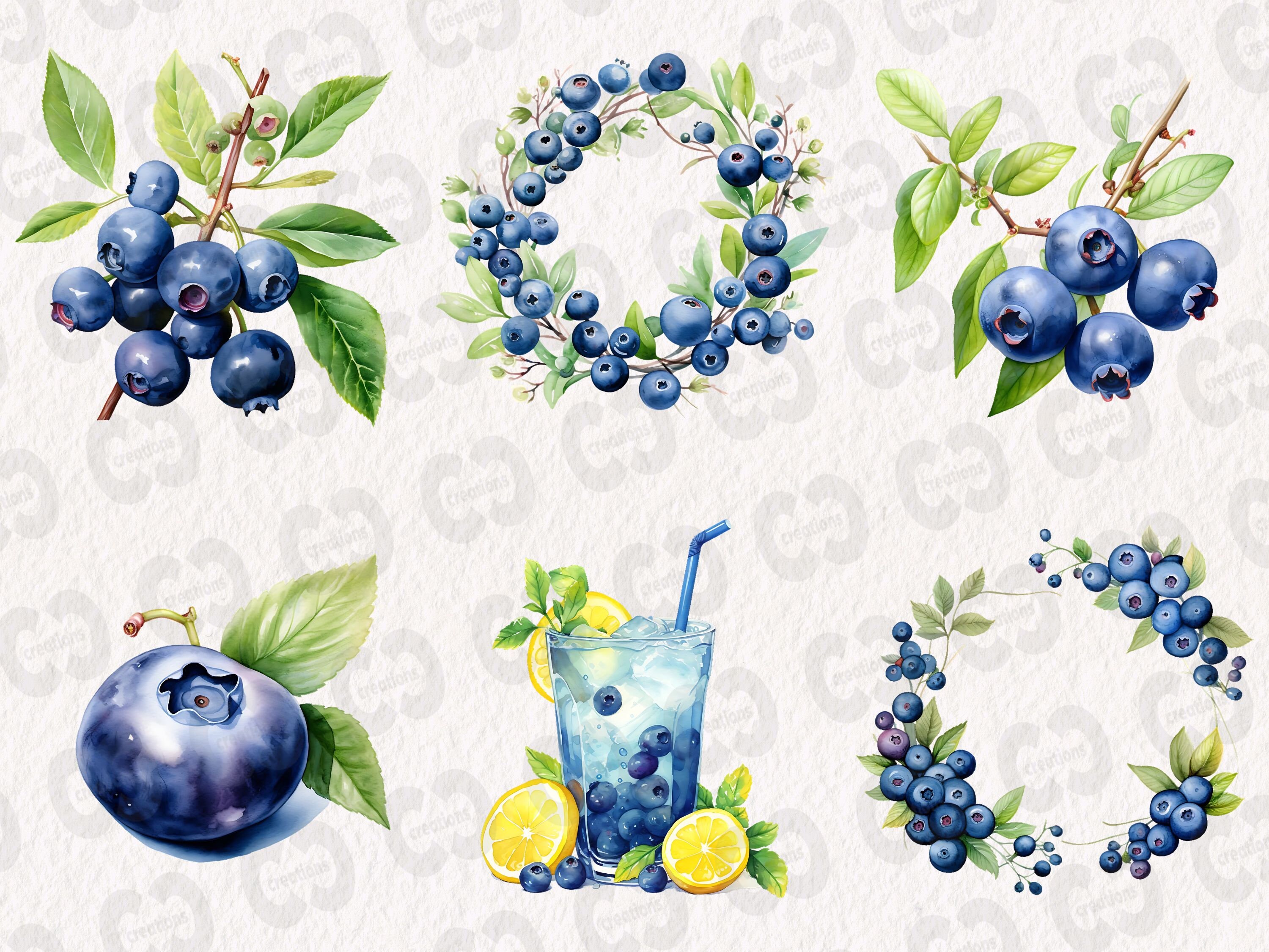 Watercolor Blueberry Clipart Bundle, Cute Food Graphics in PNG and SVG ...