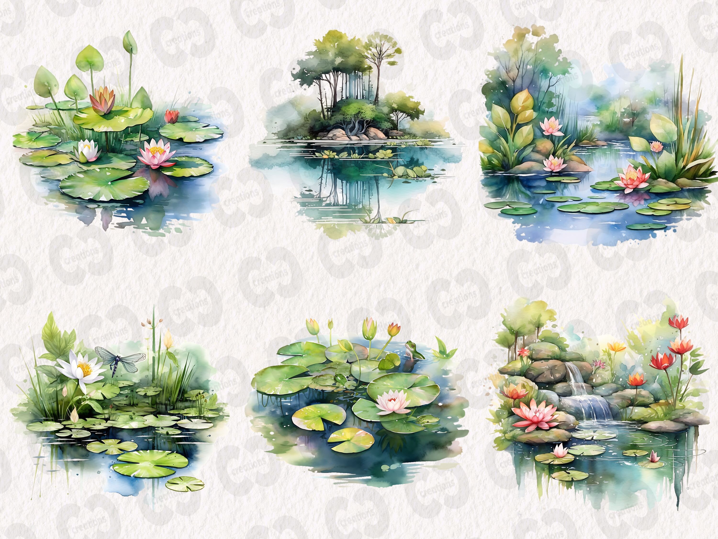 Watercolor Lily Ponds Clipart, Green Frog Graphics in PNG and SVG, Cute ...