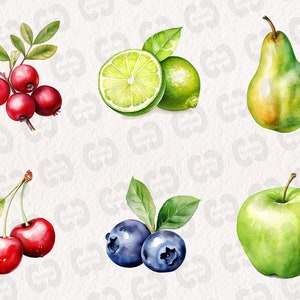 Watercolor Fruits Clipart Bundle, Cute Food Graphics in PNG and SVG ...