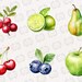 Watercolor Fruits Clipart Bundle, Cute Food Graphics in PNG and SVG ...