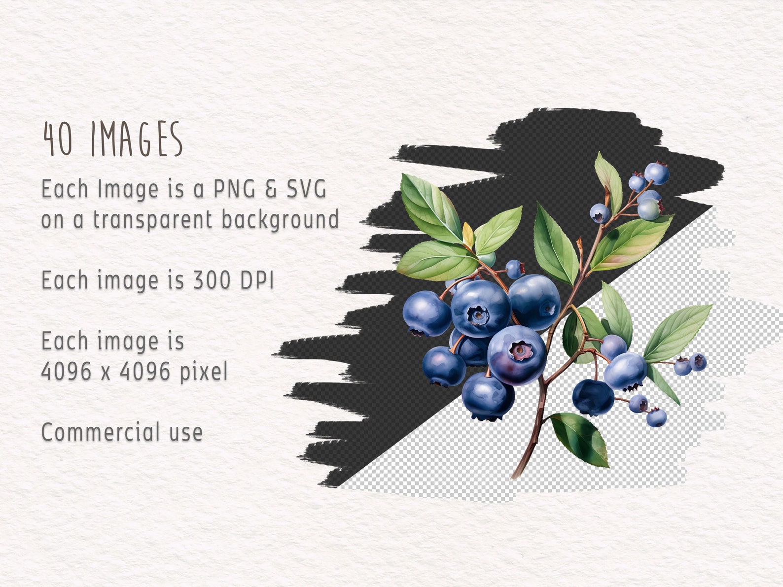 Watercolor Blueberry Clipart Bundle, Cute Food Graphics in PNG and SVG ...