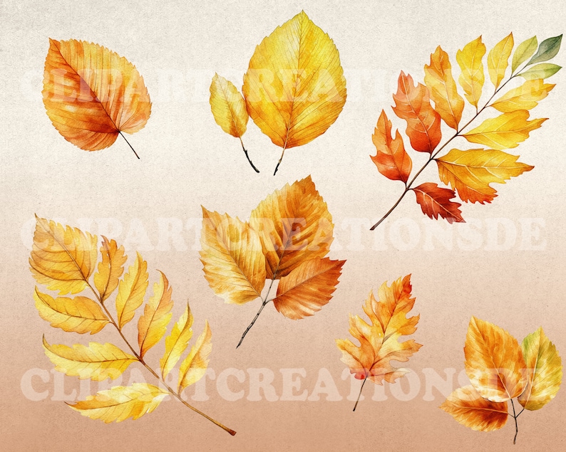 Autumn Leaves Clipart SVG, Watercolor Fall Leaves PNG, Watercolor ...