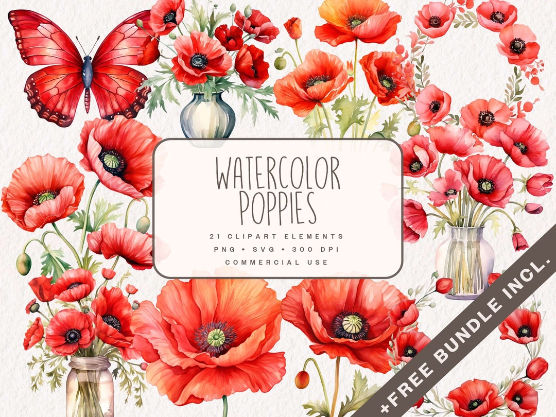 Watercolor Poppies Clipart Bundle, Red Poppy Flower Graphics in PNG and ...