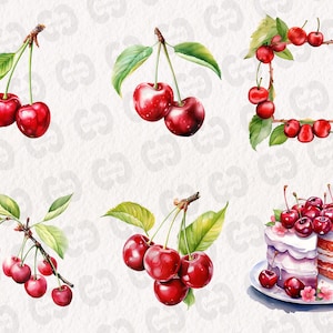 Watercolor Cherry Clipart Bundle, Cute Food Graphics in PNG and SVG ...