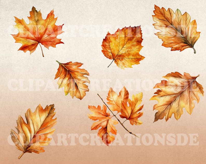 Autumn Leaves Clipart SVG, Watercolor Fall Leaves PNG, Watercolor ...