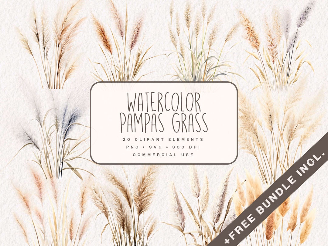 Watercolor Pampas Grass Clipart, Boho Graphics, Digital Floral ...