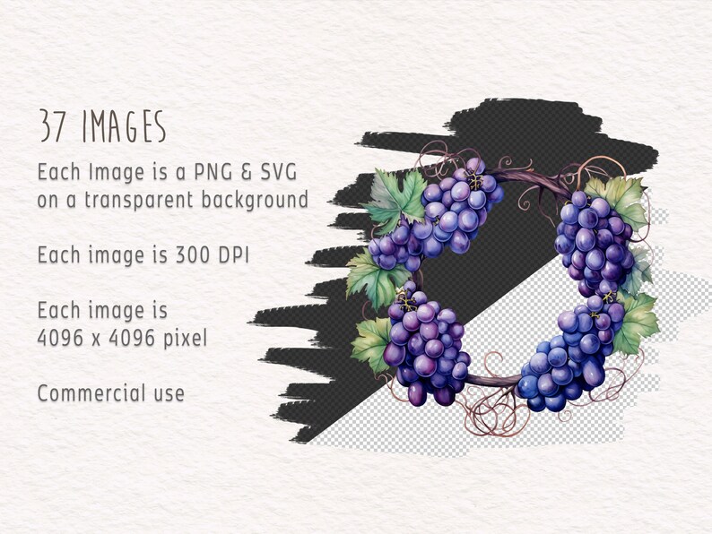 Watercolor Grapes Clipart Bundle Cute Food Graphics in PNG - Etsy