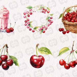Watercolor Cherry Clipart Bundle, Cute Food Graphics in PNG and SVG ...