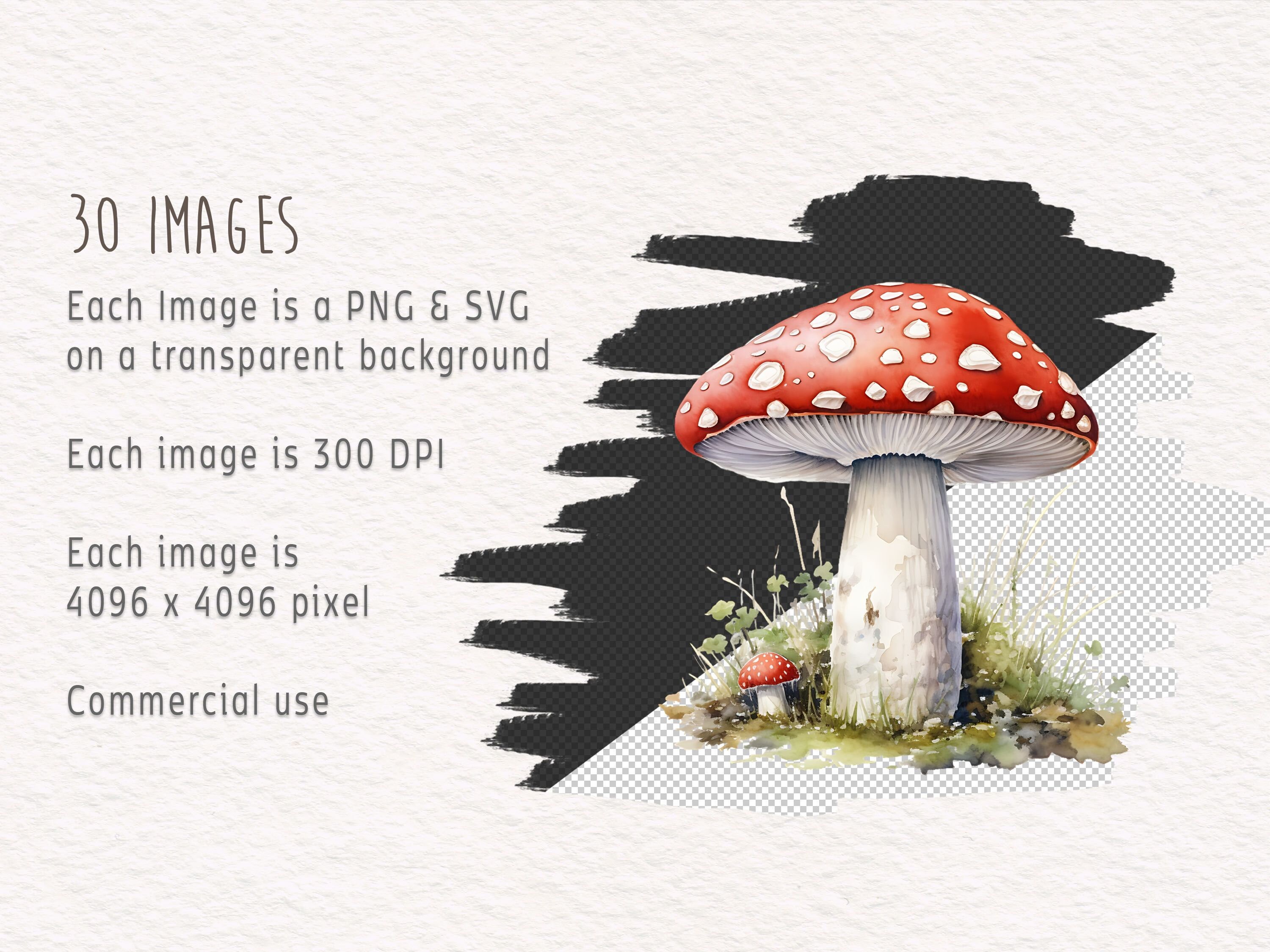 Watercolor Mushrooms Clipart Bundle, Beatiful Forest Graphics, Digital ...