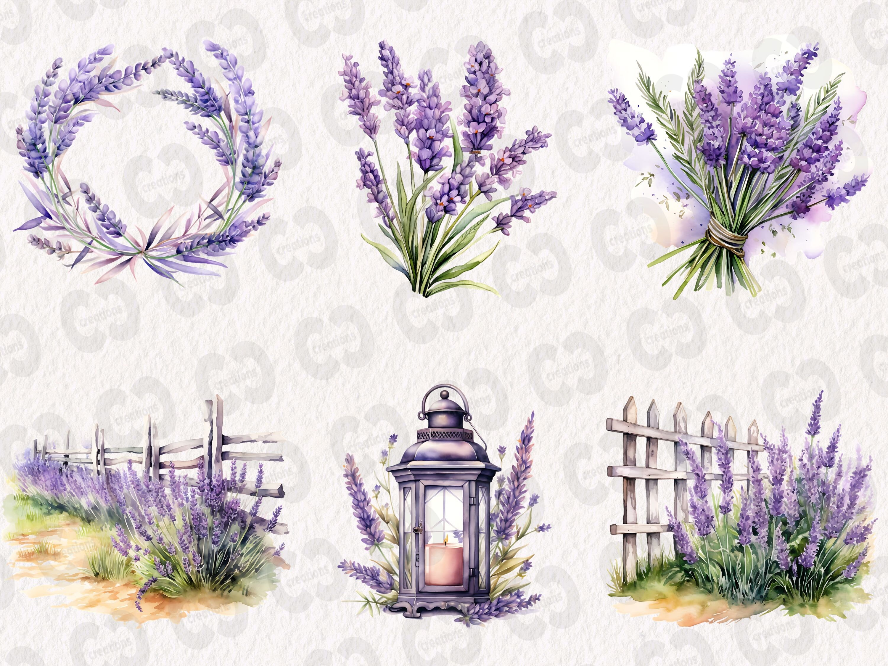 Watercolor Lavender Clipart Bundle, Purple Garden Graphics, Floral ...