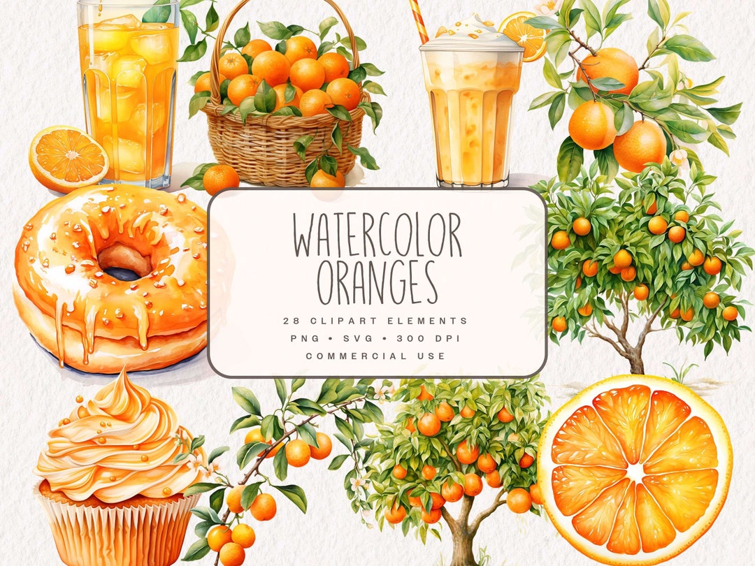 Watercolor Oranges Clipart Bundle, Cute Food Graphics in PNG and SVG ...