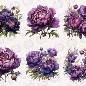Watercolor Purple Peonies Clipart, Peony Flower Graphics in PNG and SVG ...