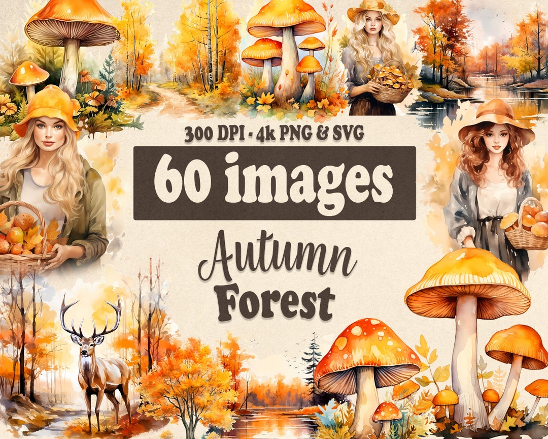 Watercolor Autumn Forest Clipart, 60 PNG and SVG Fall Graphics, Autumn ...
