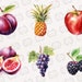 Watercolor Fruits Clipart Bundle, Cute Food Graphics in PNG and SVG ...