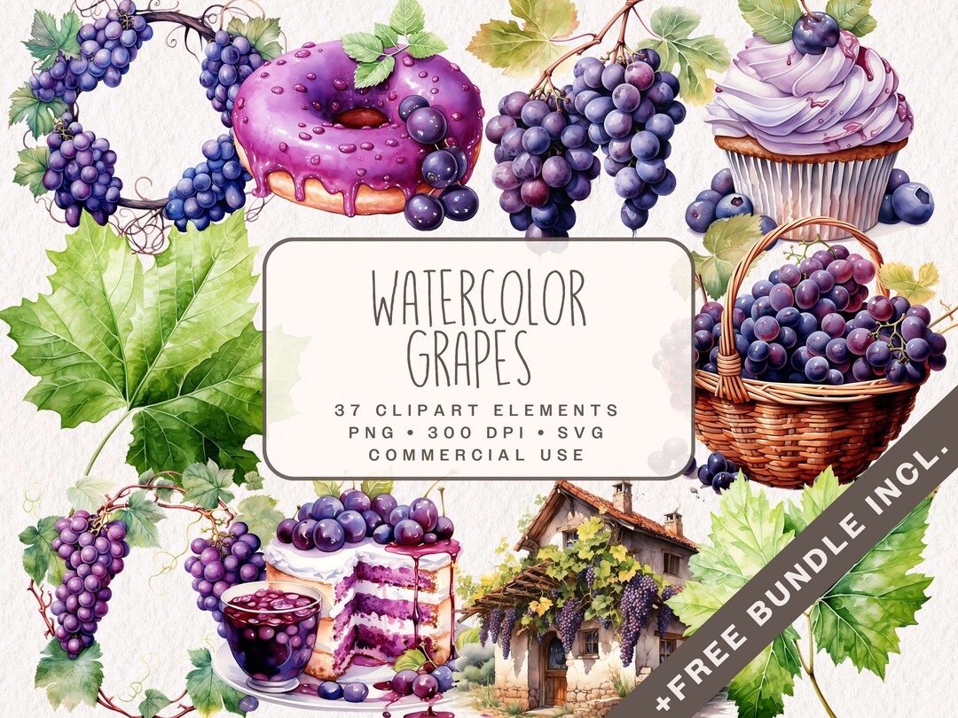 Watercolor Grapes Clipart Bundle, Cute Food Graphics in PNG and SVG ...