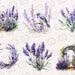 Watercolor Lavender Clipart Bundle, Purple Garden Graphics, Floral ...