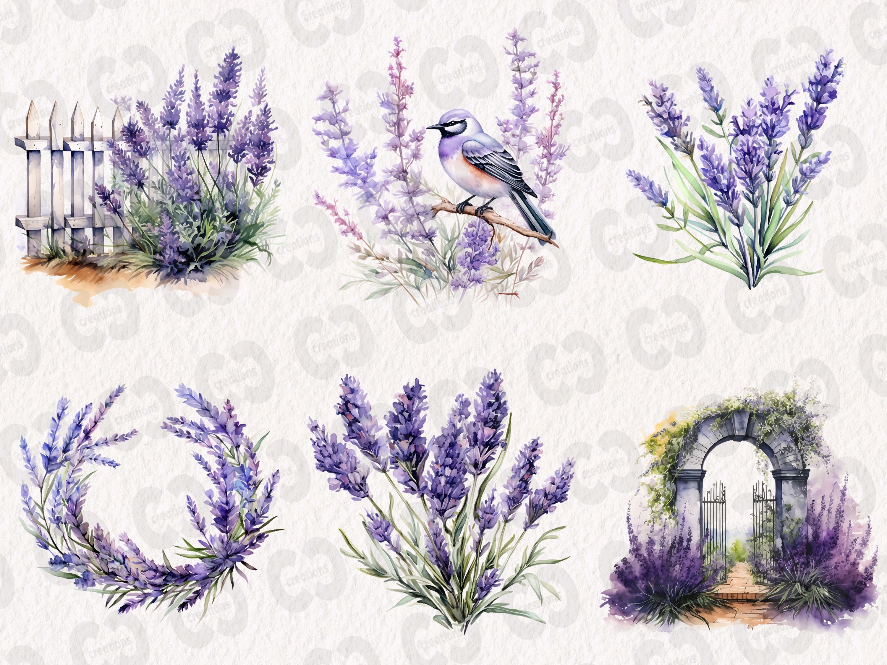 Watercolor Lavender Clipart Bundle, Purple Garden Graphics, Floral ...