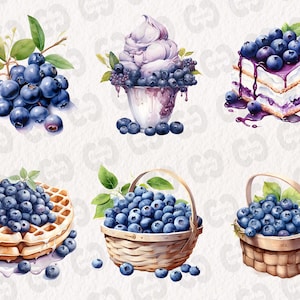 Watercolor Blueberry Clipart Bundle, Cute Food Graphics in PNG and SVG ...