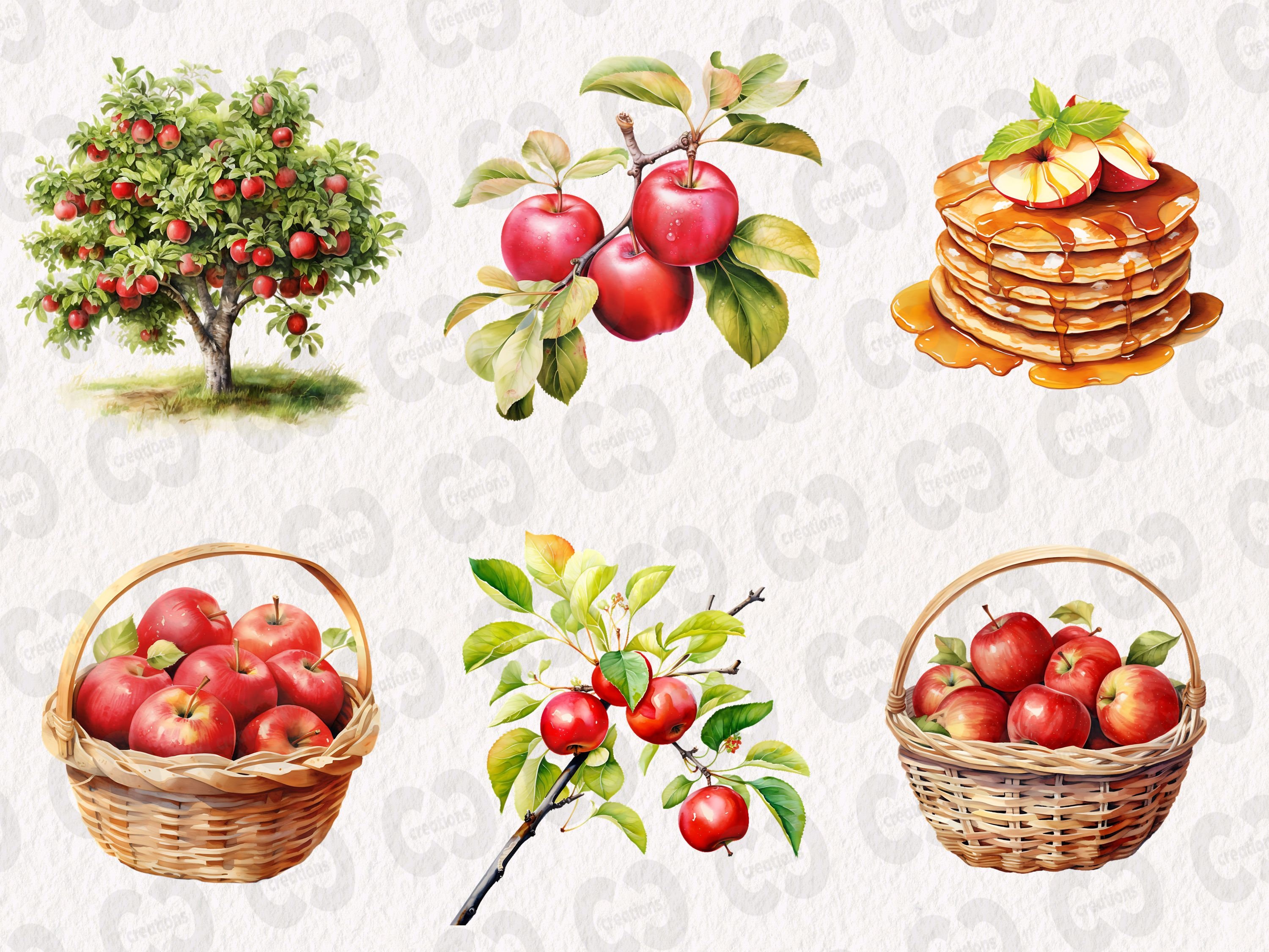 Watercolor Apples Clipart Bundle, Cute Food Graphics in PNG and SVG ...