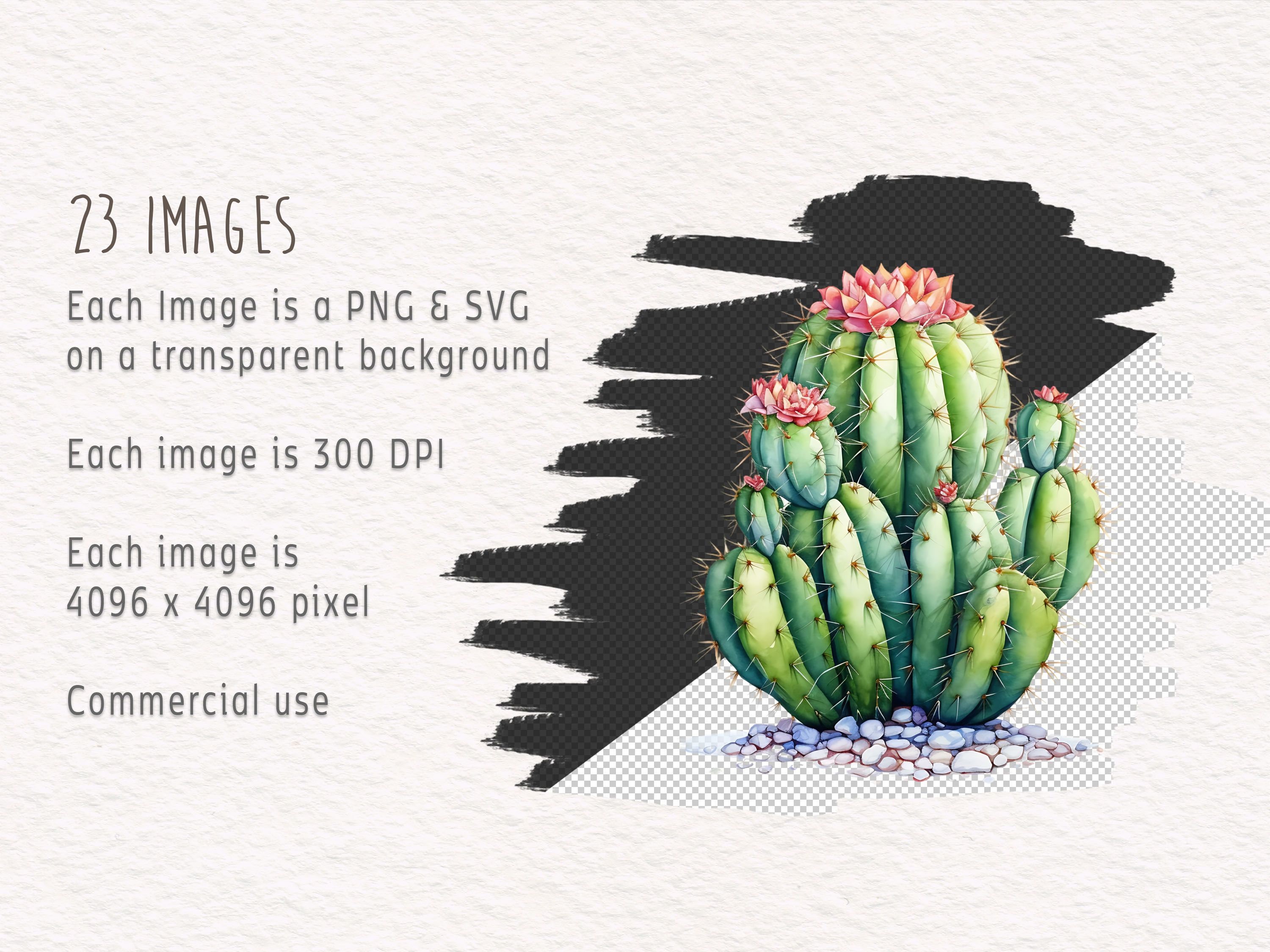 Watercolor Desert Cactus Clipart, Cacti Graphics in PNG and SVG Format ...