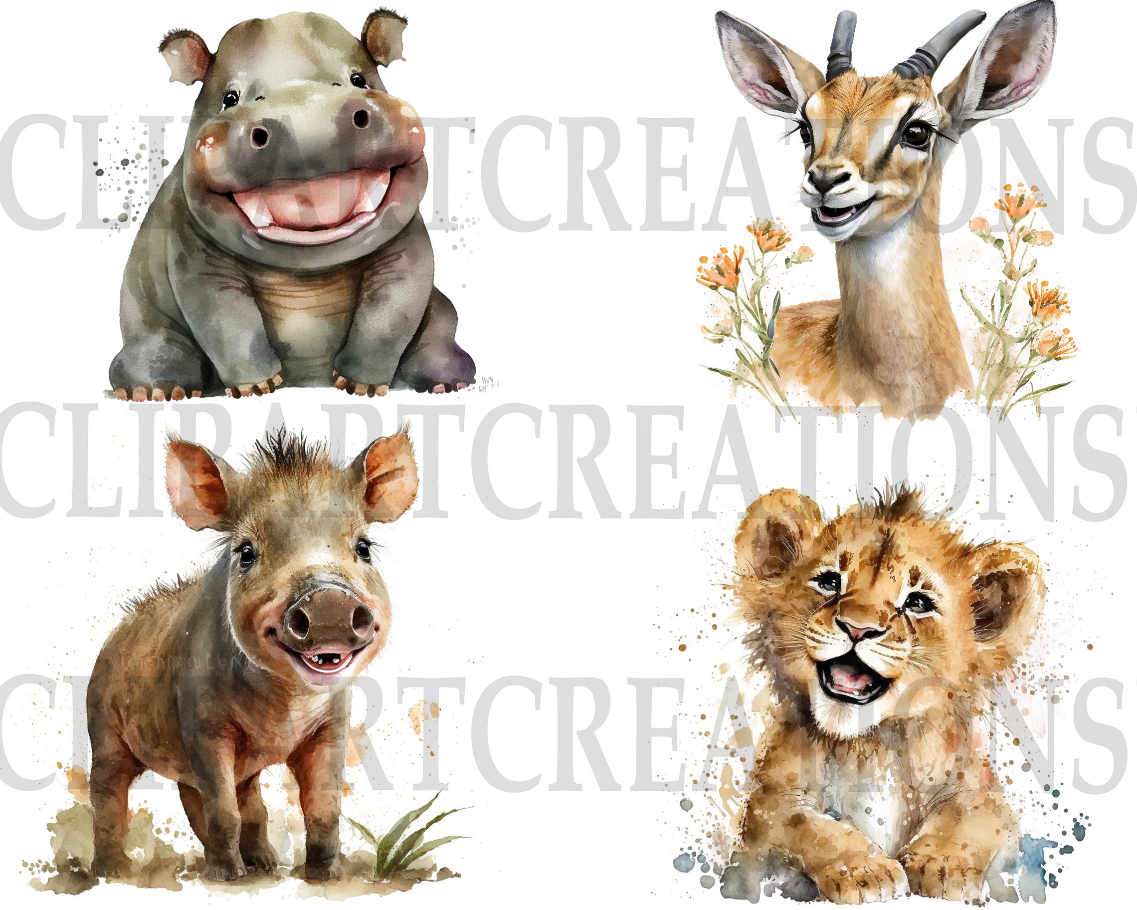 13 Safari Baby Animals Watercolor Clipart, Pngs, Paper Crafts, Cute ...