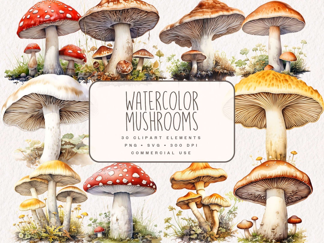 Watercolor Mushrooms Clipart Bundle, Beatiful Forest Graphics, Digital ...