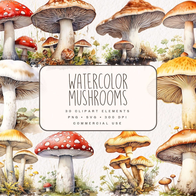 Mushroom Clipart - Etsy