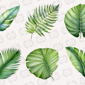 Watercolor Tropical Leaves Clipart, Jungle Graphics in PNG and SVG ...