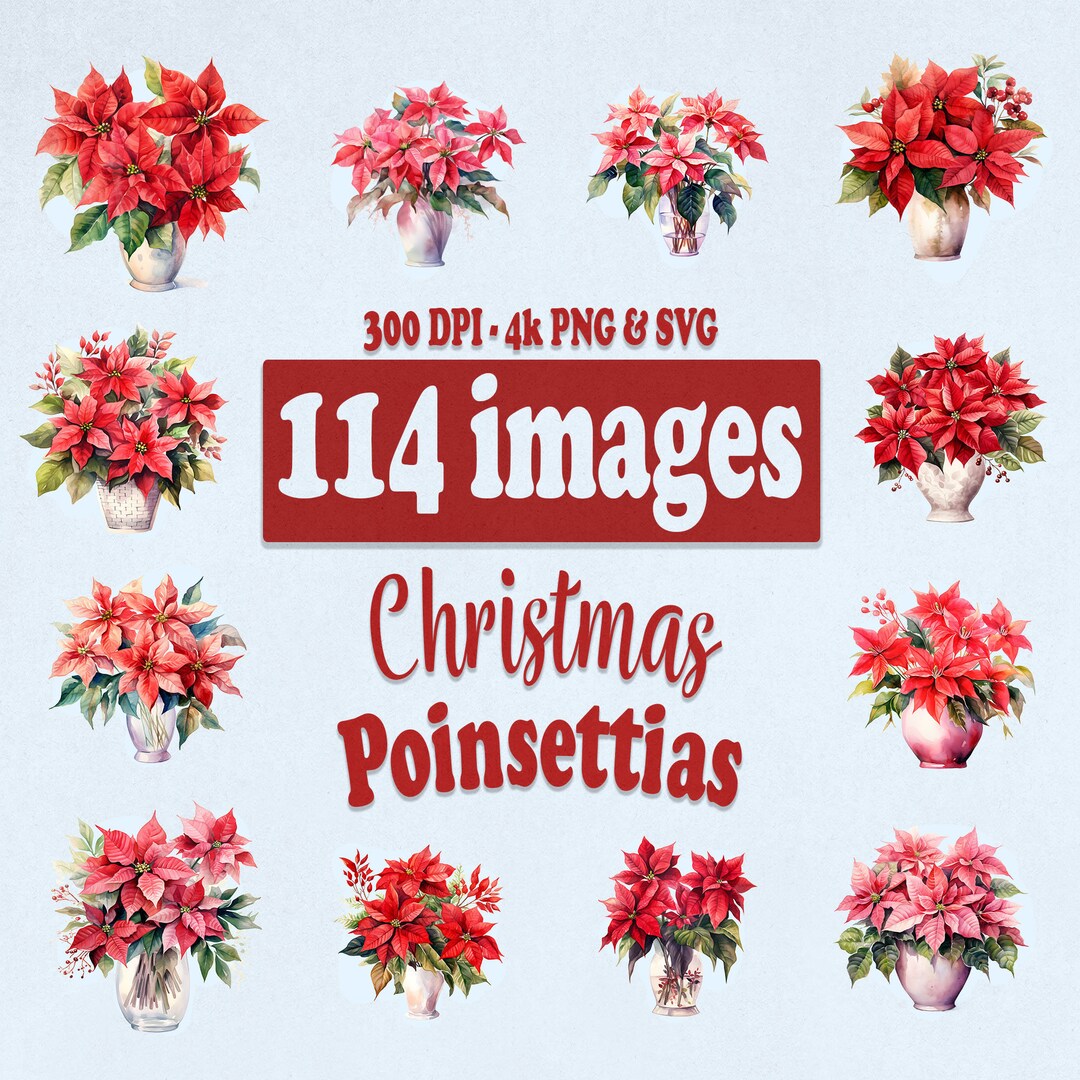 Christmas Poinsettia Flower Clipart, Xmas Poinsettias Flowers Graphics ...